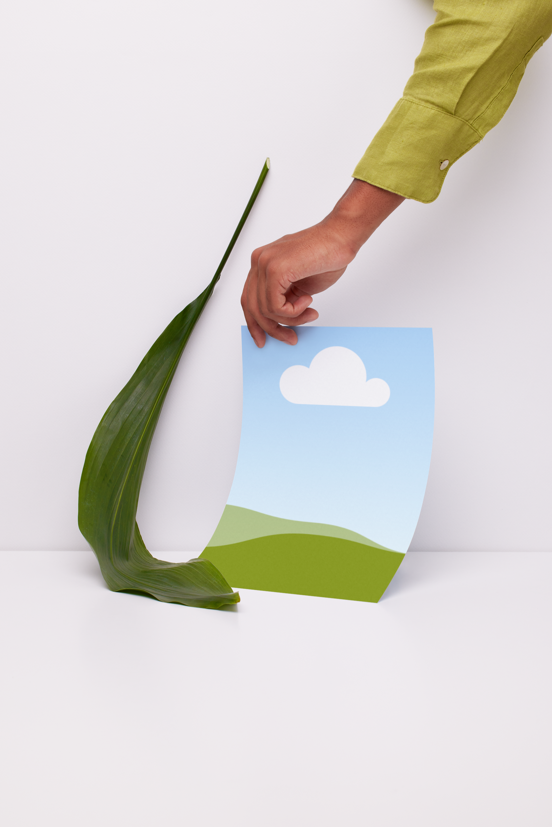 Free Online Brochure Mockup Generator | Canva